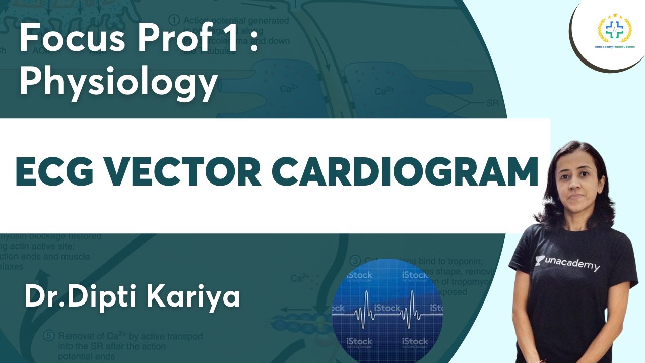 ECG Vector Cardiogram | Focus Prof 1 Physiology | Unacademy Future ...