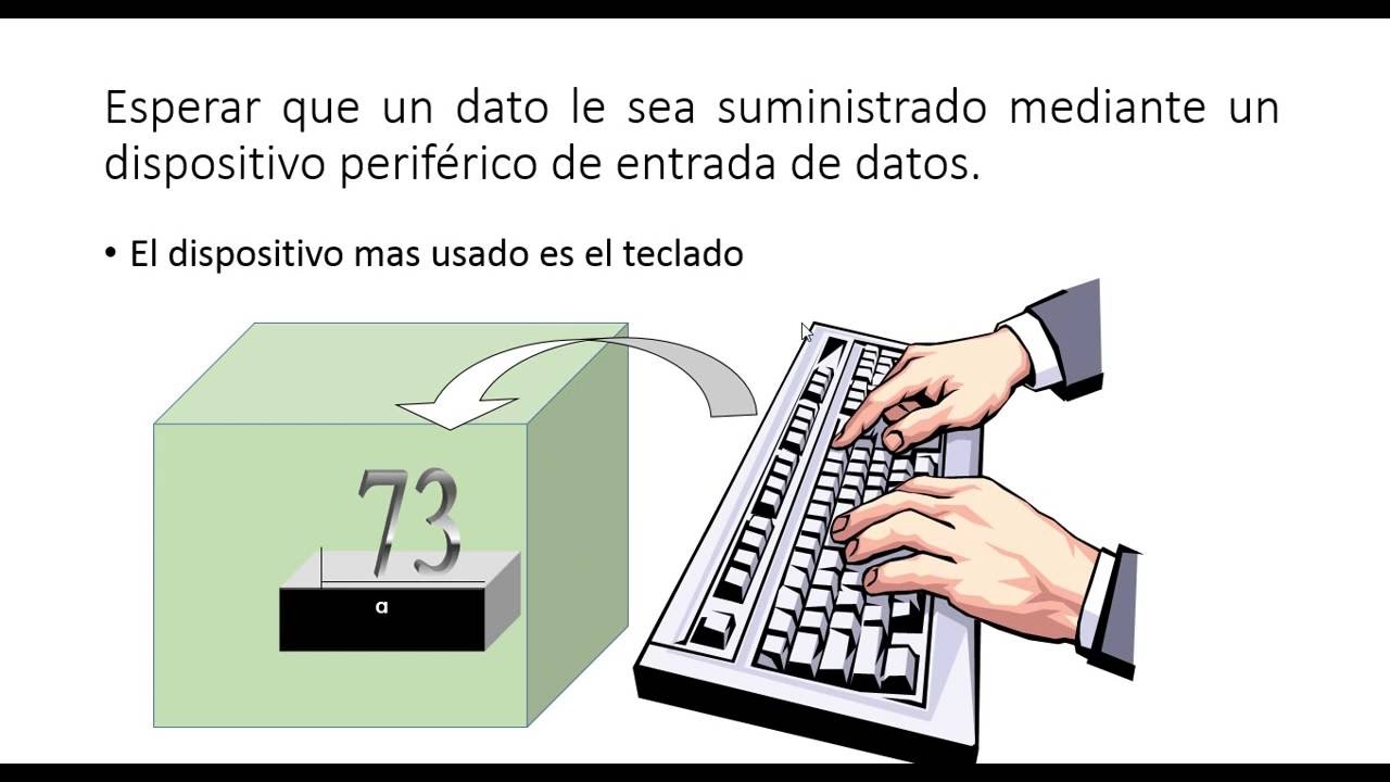 Programación de Computadoras - Parte 4 - YouTube