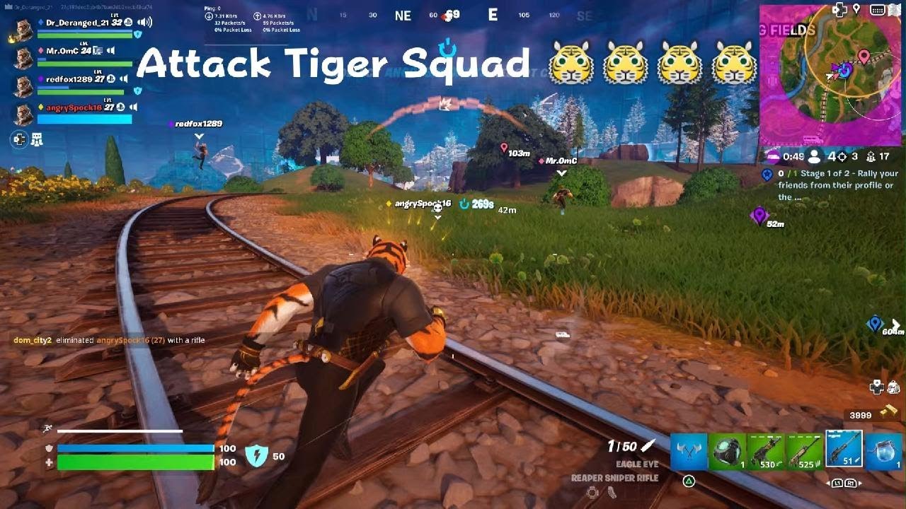 Fortnite_709- Sunday Fortnite Tiger Squad #3! - YouTube