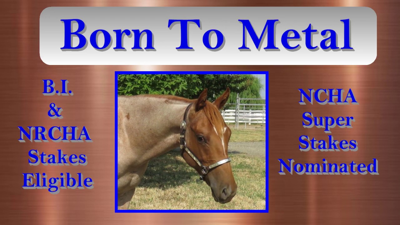 BORN TO METAL, 2017 SON OF METALLIC CAT - YouTube