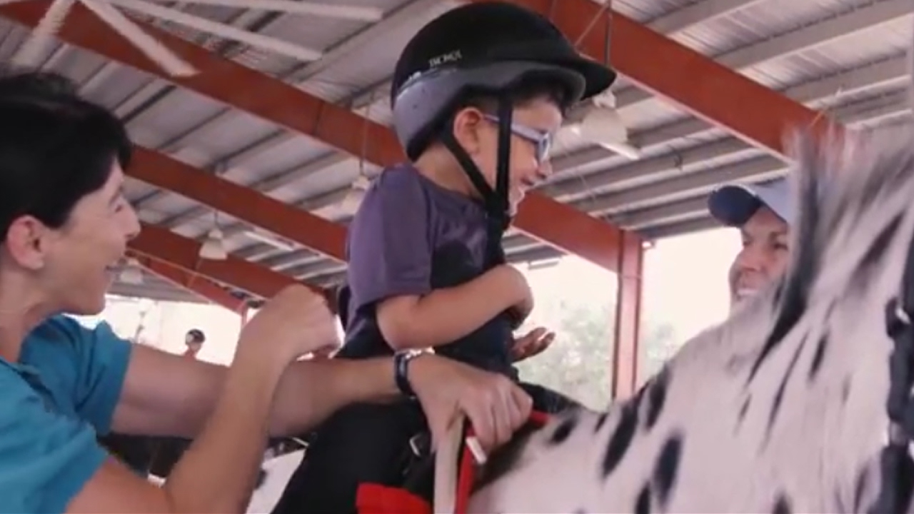 Naples Therapeutic Riding Center - YouTube