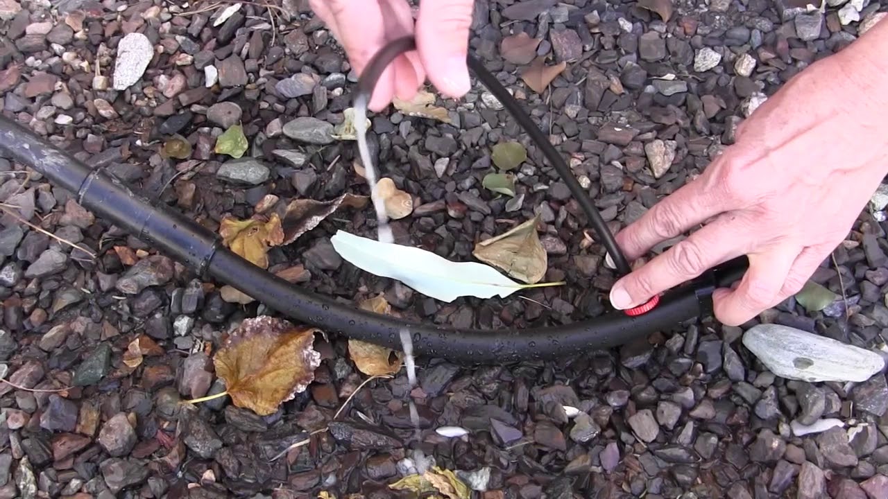 D&L Video 1 Types of Drip Installation - YouTube