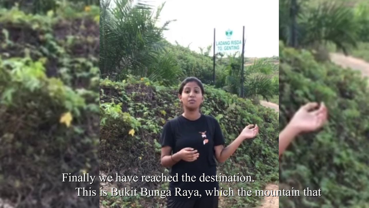 A Day To Bukit Bunga Raya - YouTube