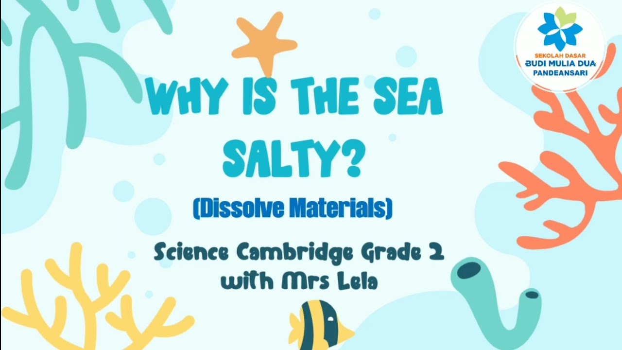 Why is the Sea Salty? || Science Cambridge Grade 2 - YouTube