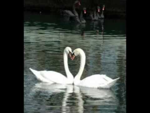 KADİR AKTA neredesin sen