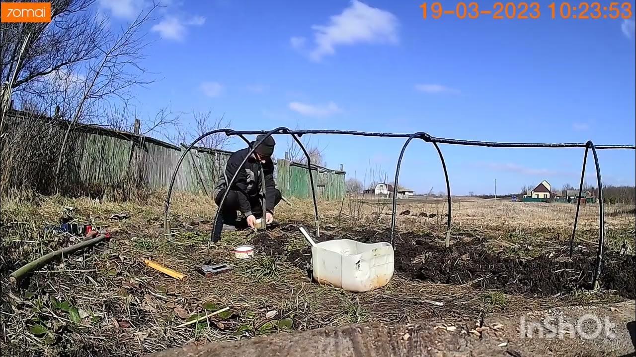 Бюджетные теплички для рассады. Аисты - YouTube