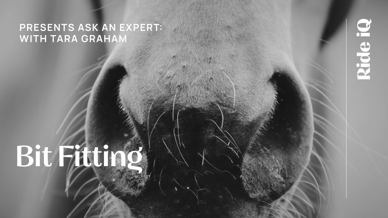 Ask an Expert with Tara Graham: Bit Fitting - YouTube