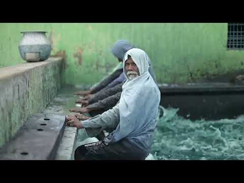 Extraction of Natural Indigo Dye (From Indigofera Tinctoria)