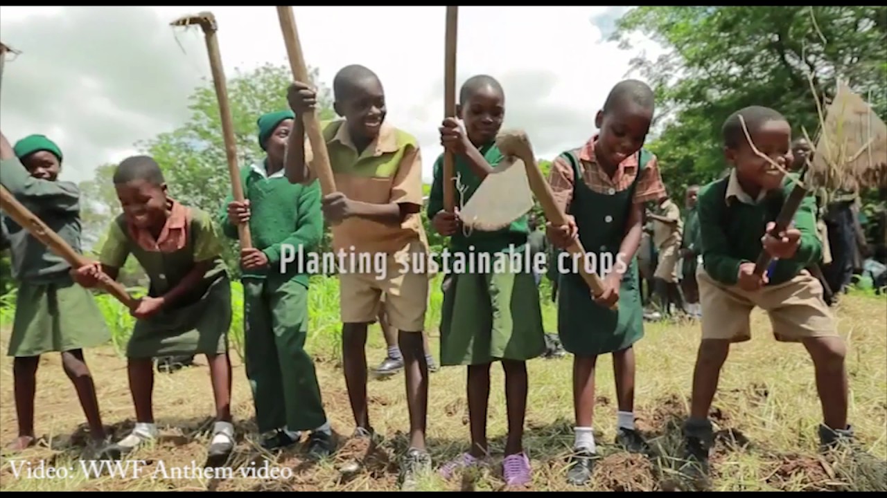 Giant Panda ad 2: WWF - YouTube