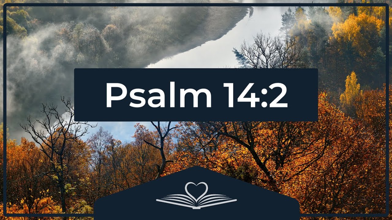 Psalm 14:2 (Audio Bible - NRSV) - YouTube
