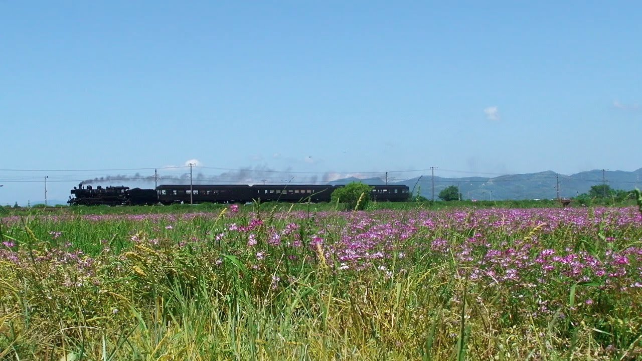 "SL Hitoyoshi" A Steam Train in the beautiful countryside - YouTube