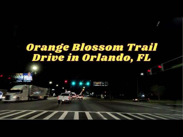 Nightlife Orange Blossom Trail