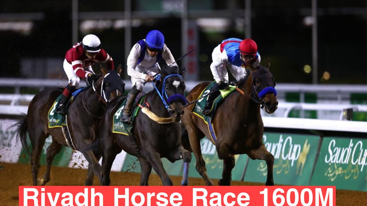 Horse Race Riyadh Saudi Arabia #HorseRace #HorseRaceRiydhasaudia - YouTube