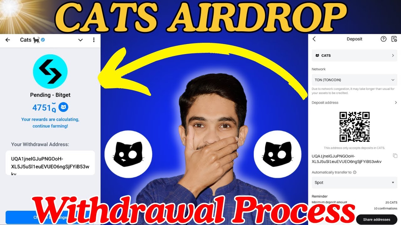 Cats Airdrop Bitget Wallet Connect - Cat Airdrop Withdrawal Complete ...