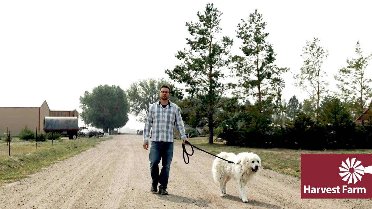 Harvest Farm: A Refuge for Recovery | Dan's Story - YouTube