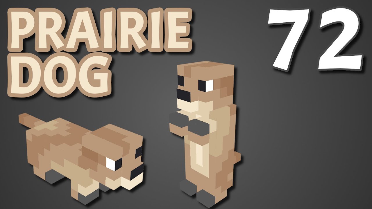 MCreator Lore: Prairie Dog Textures | Ep72 - YouTube