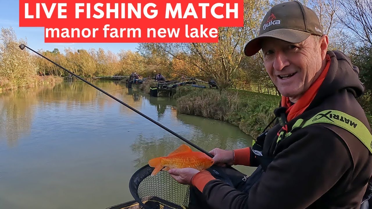 Live Fishing Match Manor Farm Swilland IP6 9LB, #matchfishinguk - YouTube