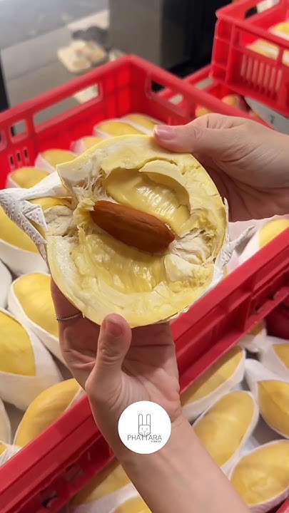 Durian monthong thailand - YouTube