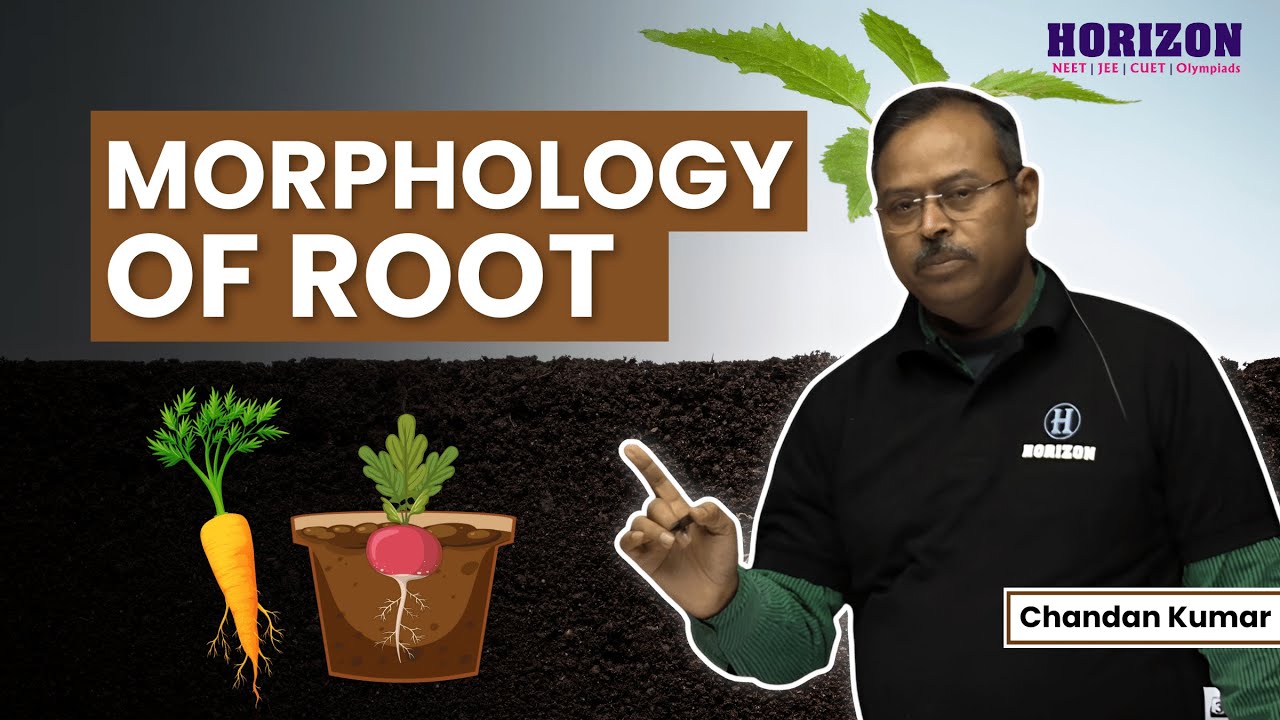 Morphology of roots || Biology || Chandan Kumar || Horizon Academy ...