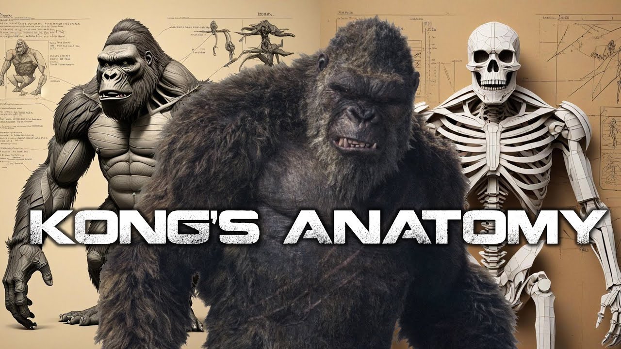 The Biology of Kong Fully Explained + pp size estimate - YouTube