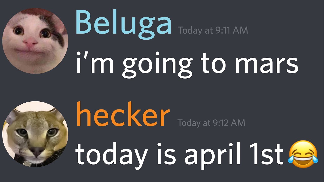 When Beluga Leaves Hecker... - YouTube