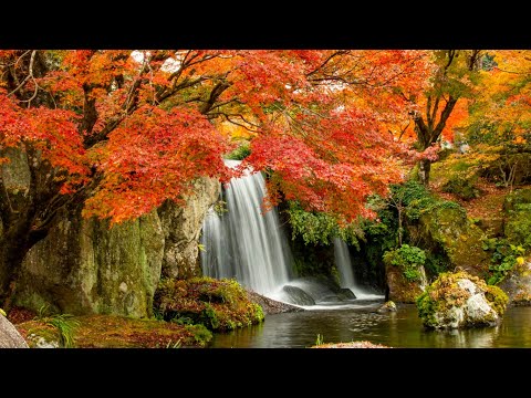 Good morning❣️|Nature status 🥰| nature song 💜| nature drawing 🥀| प्राकृतिक स्टेटस |waterfall status🐳