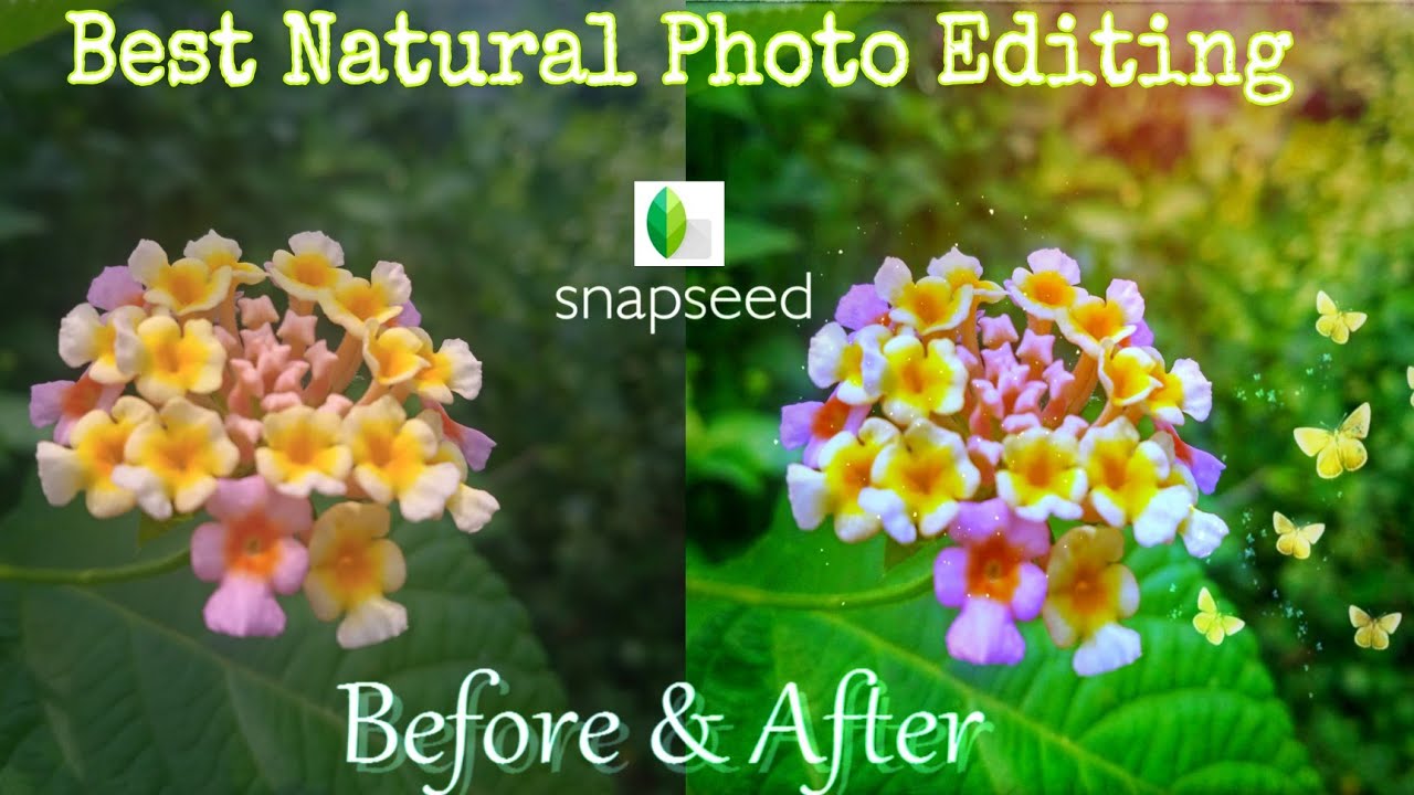 Best Natural Photo Editing🌿|| Viral Photography 📷|| PRO-X editing Zone ...