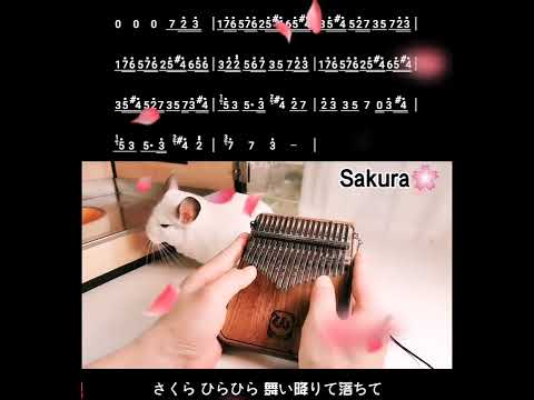 Sakura - Kalimba Cover - YouTube
