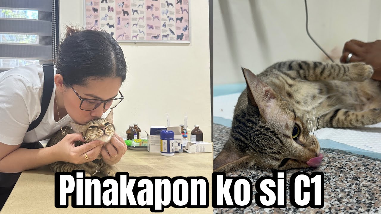 Pinakapon namin si C1 kaso nanginginig katawan niya | momarenyann - YouTube