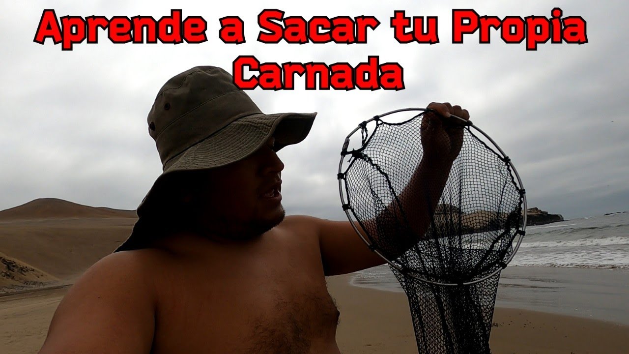 TE ENSEÑO COMO SACAR MUYMUY || Y SABER DONDE ENCONTRARLOS | Tablita ...