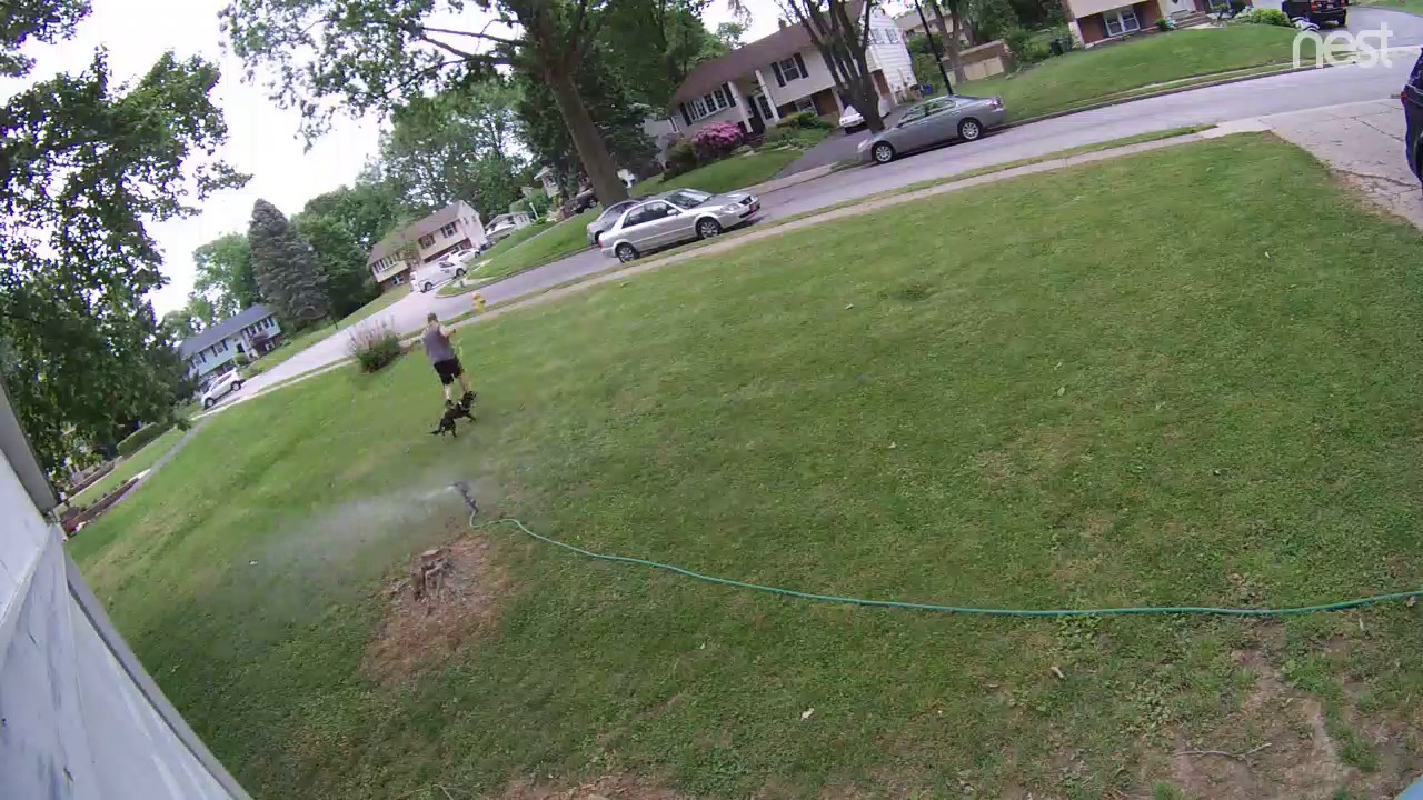 Motion Sensor Sprinkler Random Neighbors - YouTube