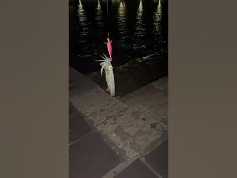 L.R.Eging με glow καλαμαριερες. #lrf #fishing #eging - YouTube