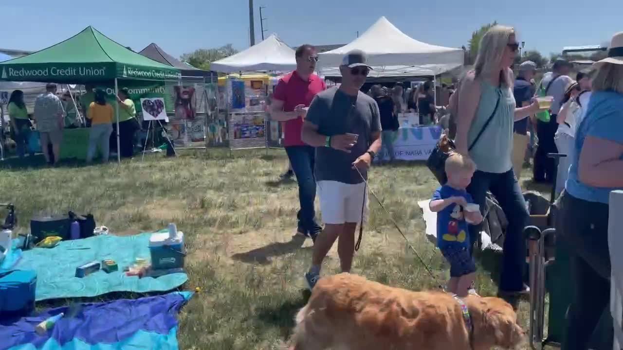 Watch: Napa celebrates Earth Day at Oxbow Commons - YouTube