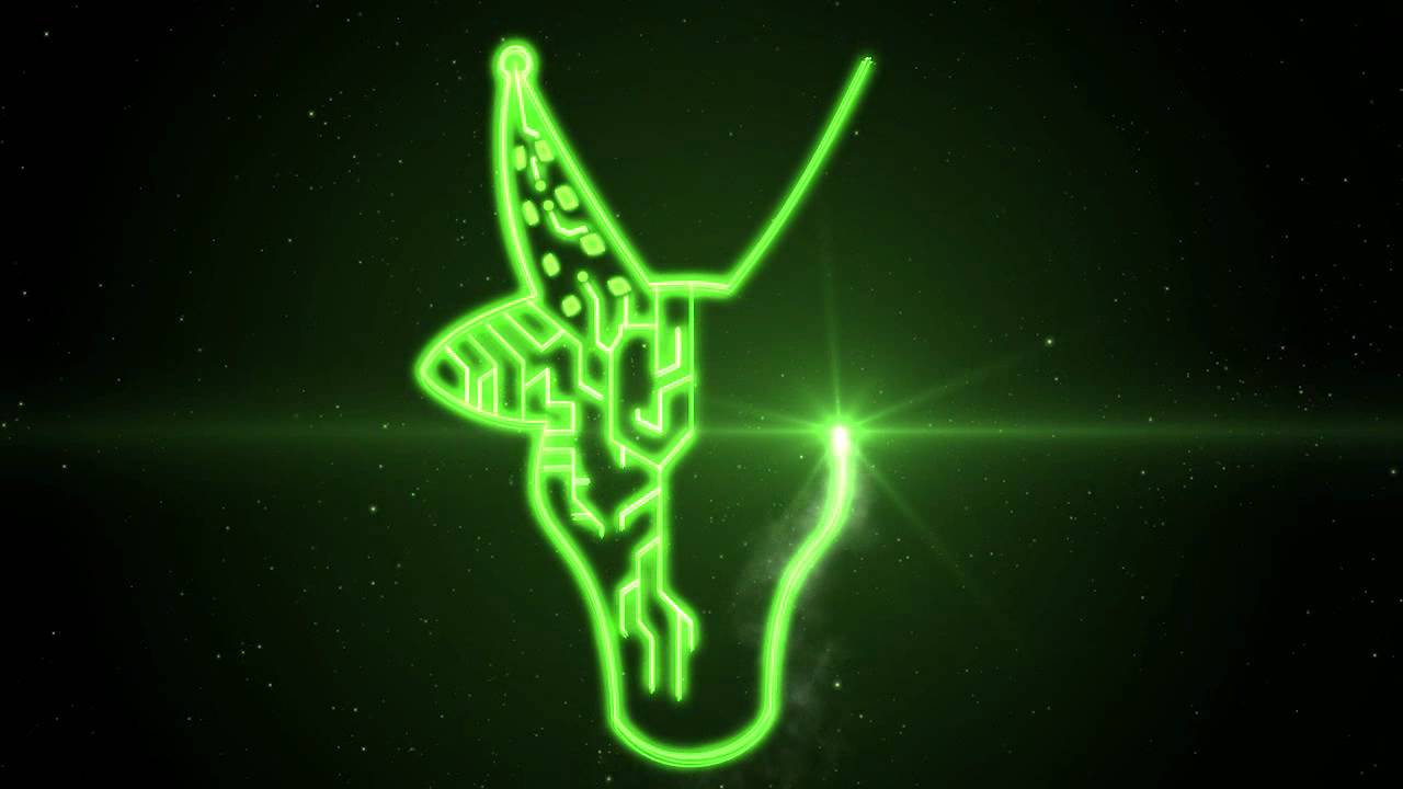 Feu Tamaraw Background