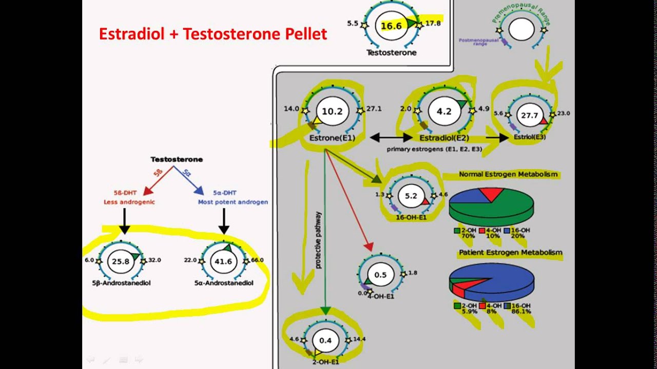 Report Interpretation Guide Estrogen patch inj pellet 08 - YouTube