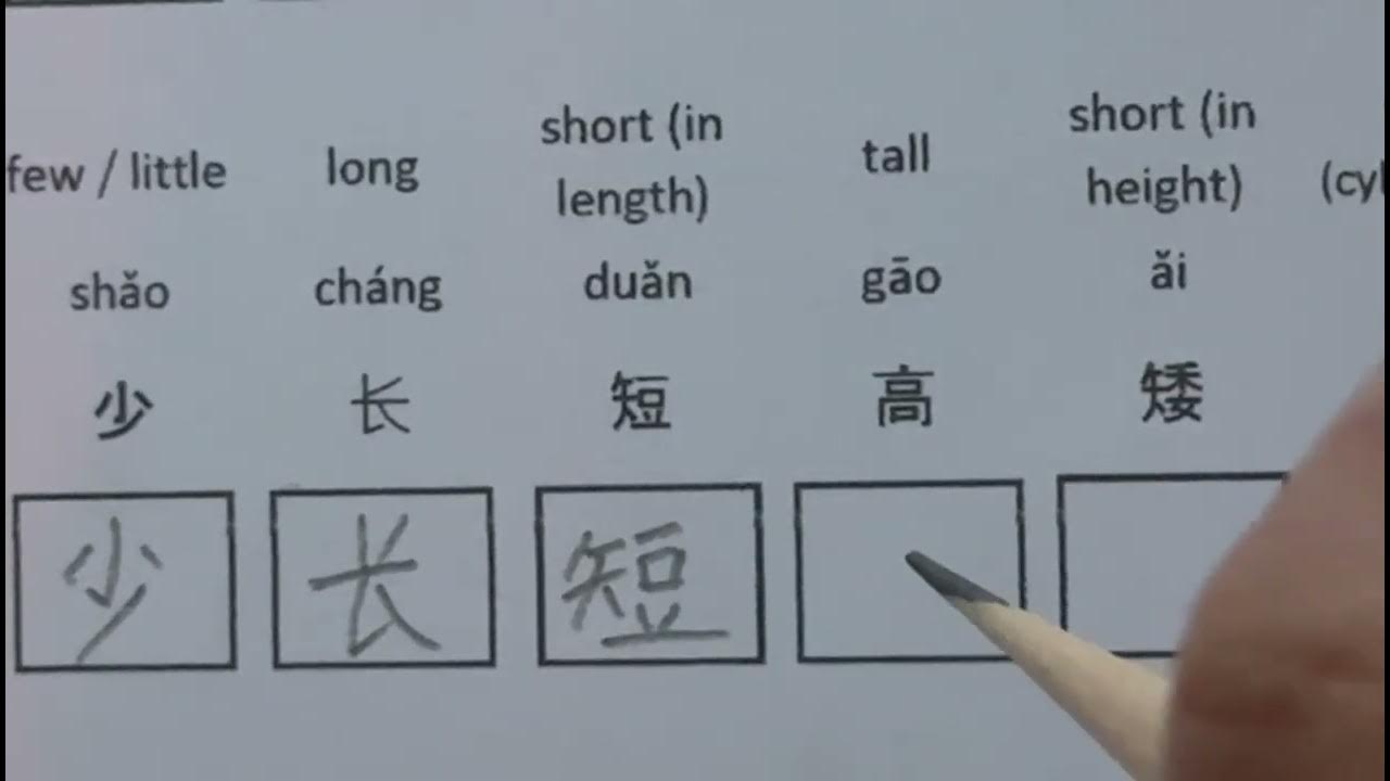 008 Learn to Write Chinese: size - big small many few long short tall short think thin - YouTube
