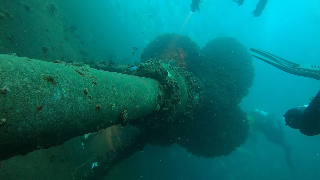 Diving the HMAS Tobruk wreck (Hervey Bay) - YouTube