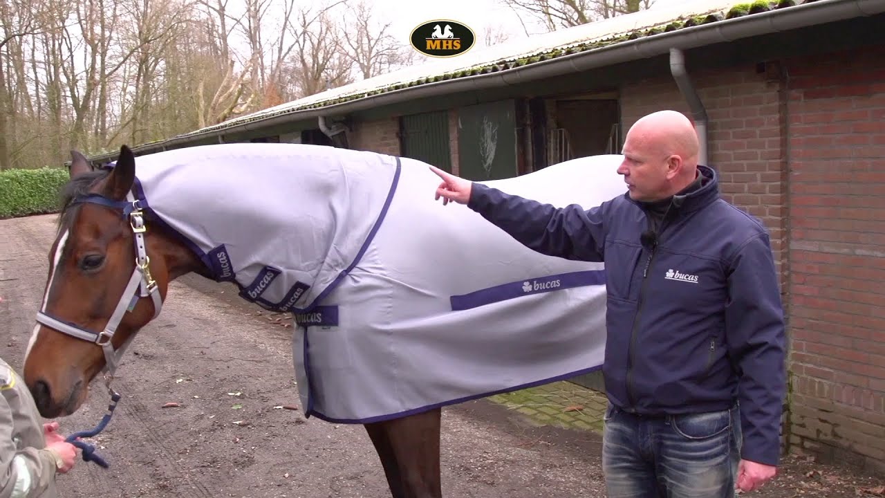 Bucas | Buzz-Off Full Neck | Fly Rug - YouTube