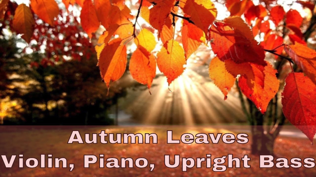 Autumn Leaves - Violin, Piano, Upright Bass Trio - YouTube