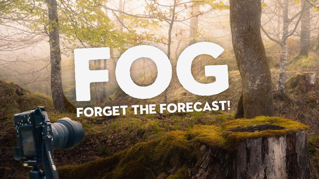 How to Discover HIDDEN Fog for Landscape Photography - YouTube