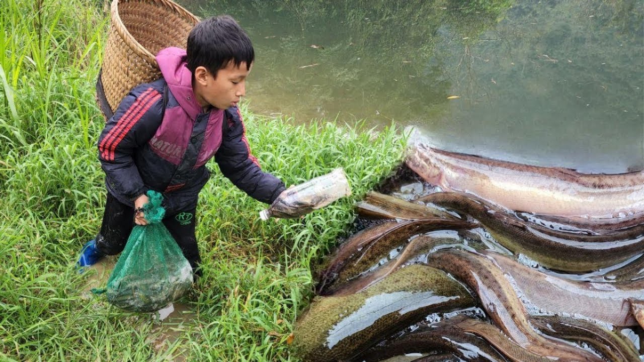Herring trapping skills, orphan boy khai makes fish traps from plastic ...