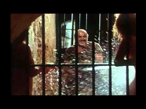 Babes Behind Bars Trailer