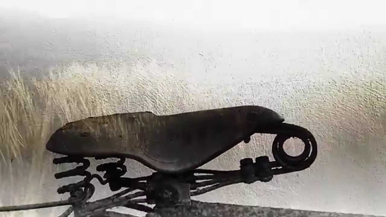 The great journey of an invisible ant - YouTube