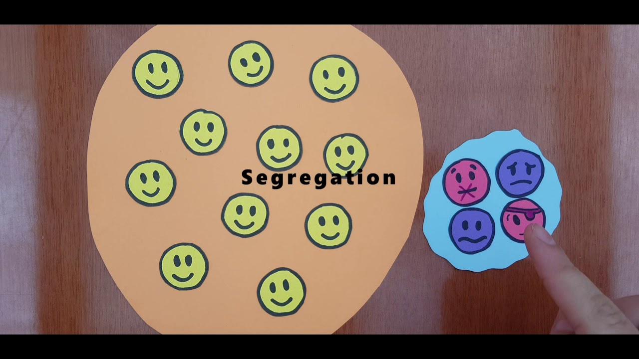 Concepts: exclusion, segregation, integration, inclusion - YouTube