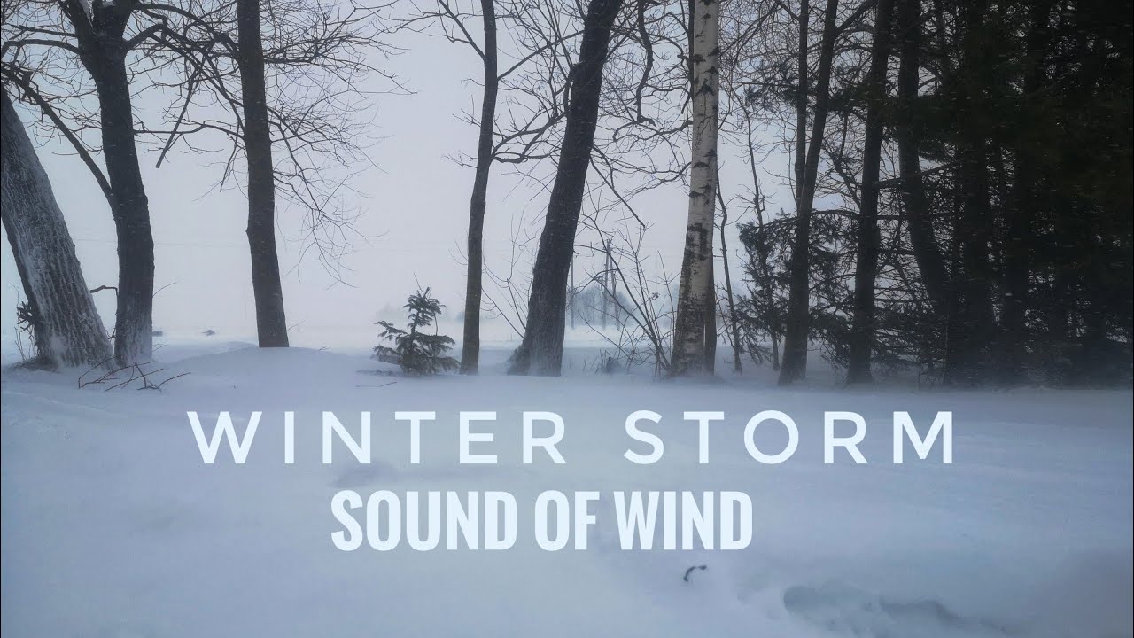 Strong Winter Wind, Relaxing and Powerful Sound, Snow Storm - YouTube