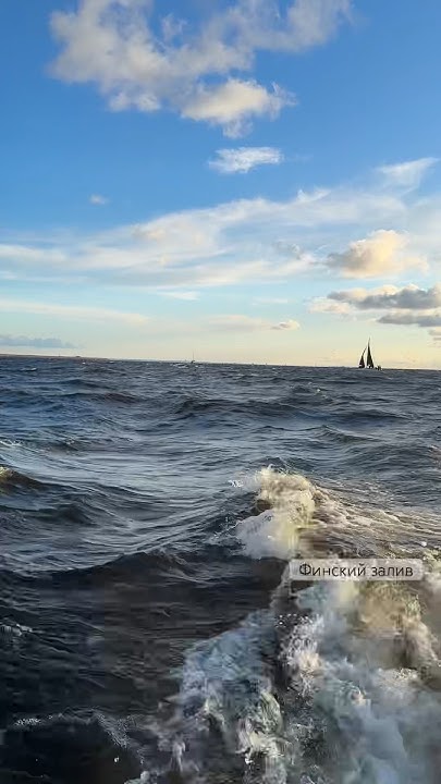Финский залив🌊 Travel Lifestyle Summer Nature питер