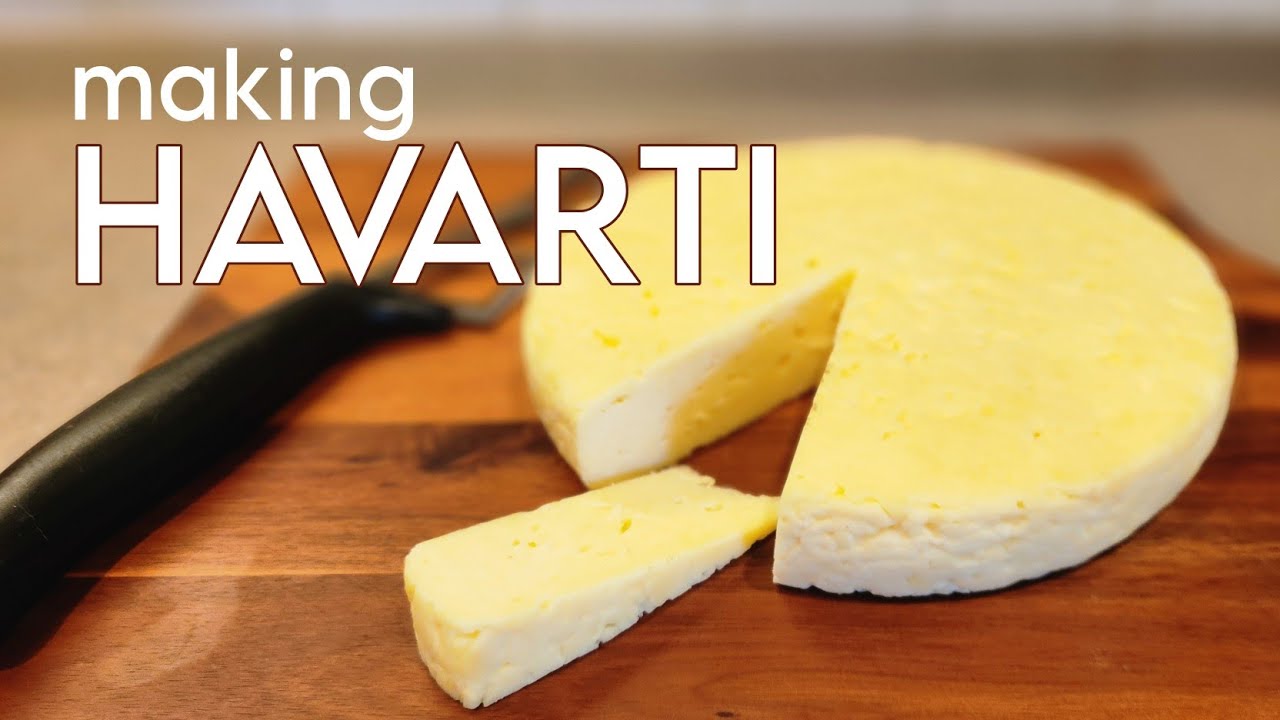 Cheesemaking 101: Make Your Own Fresh Havarti at Home - YouTube