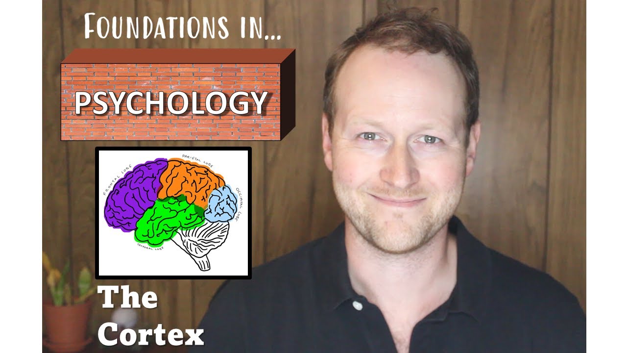 The Cortex - YouTube