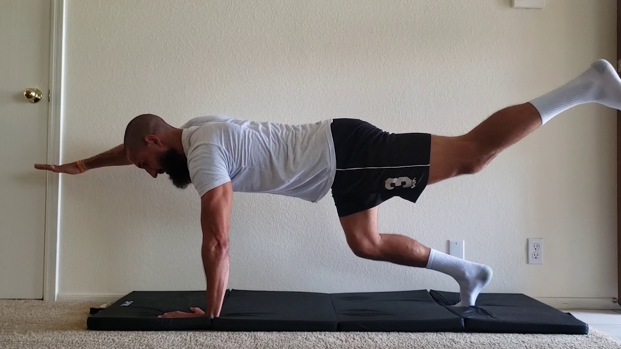 Bear hold + alternating limbs lifts - YouTube