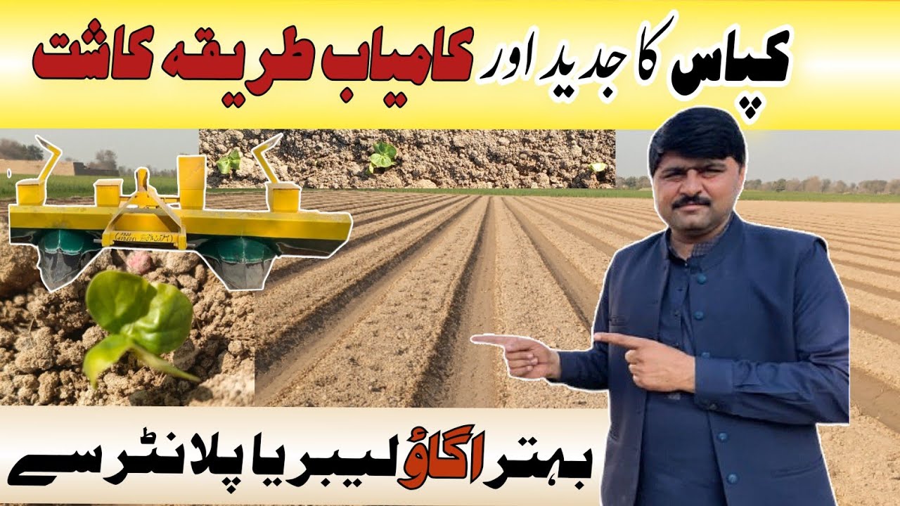 Best Cotton Sowing Methods for Faster Germination - YouTube